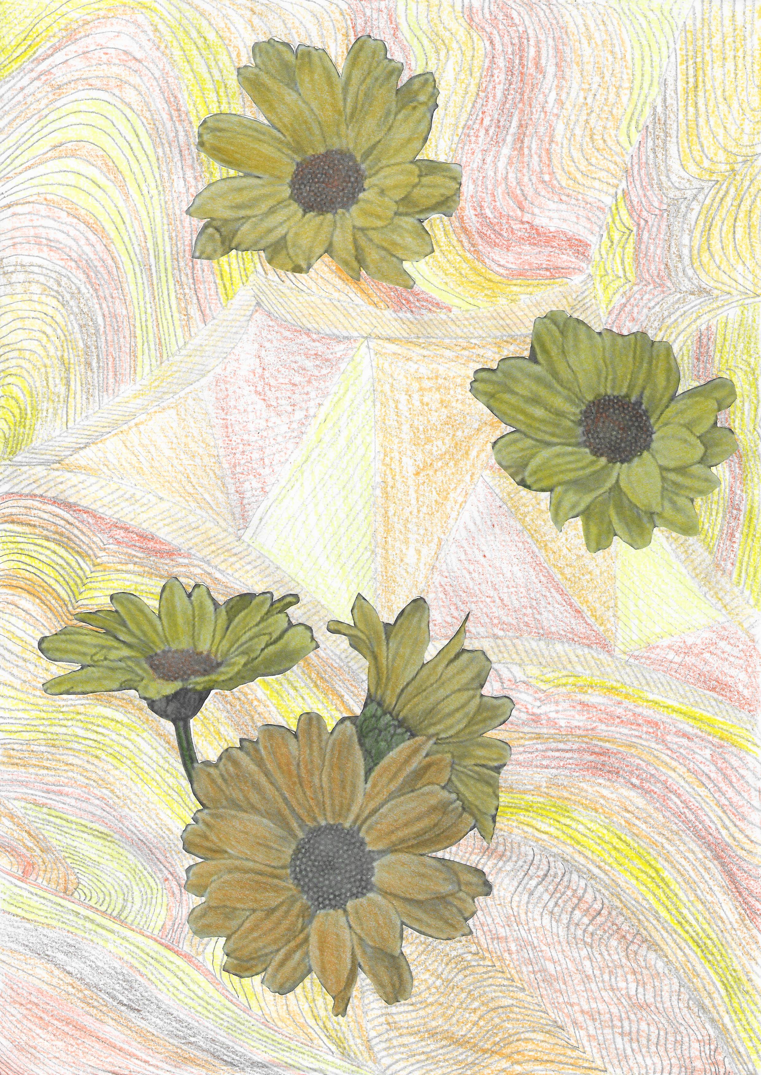 Downloads > Horst Janssen Museum